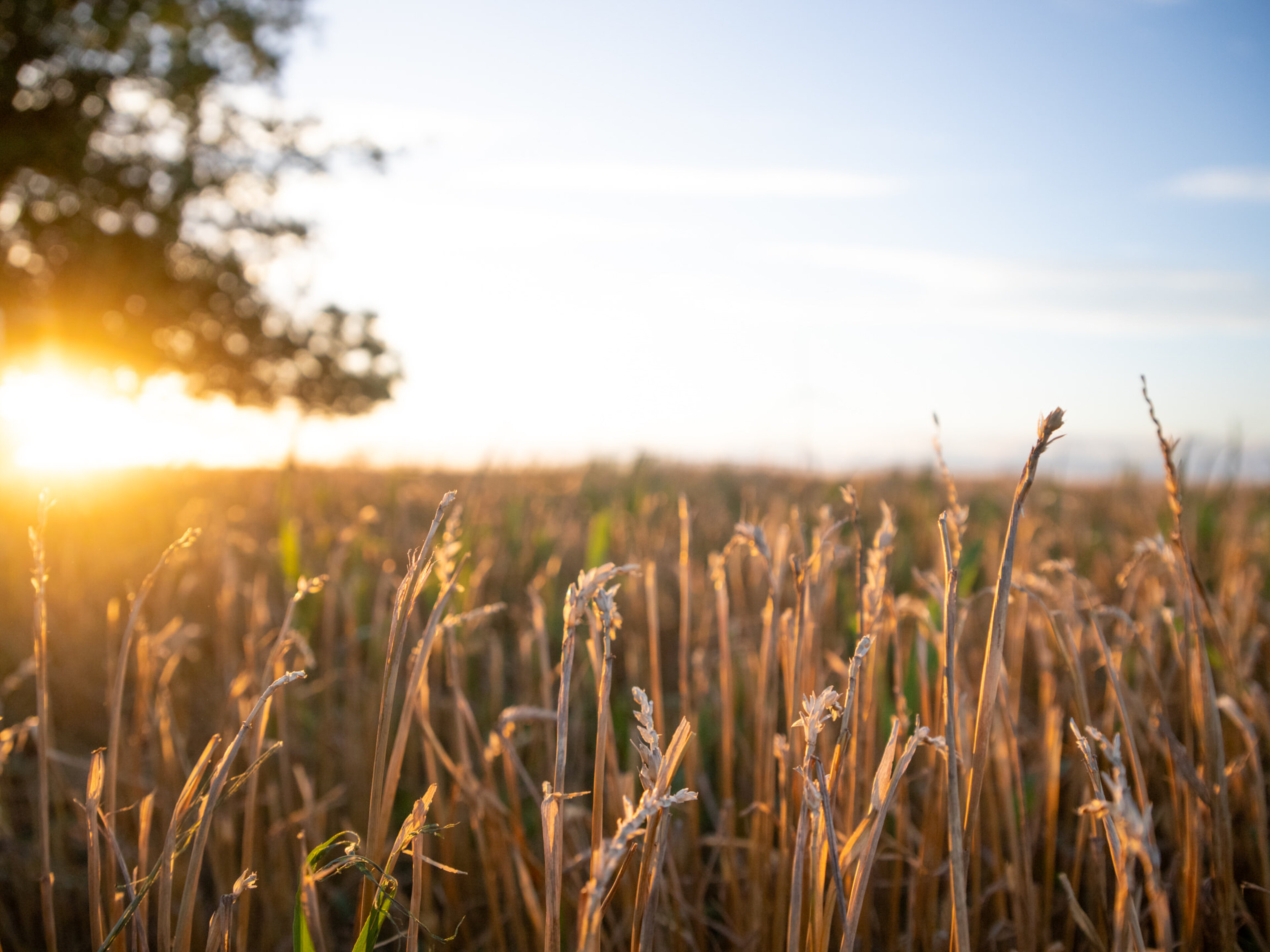North Central Extension Risk Management Education Center | Nebraska